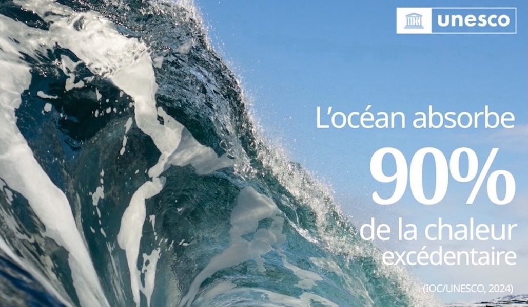 Protection océan : l'UNESCO étend ses programmes éducatifs